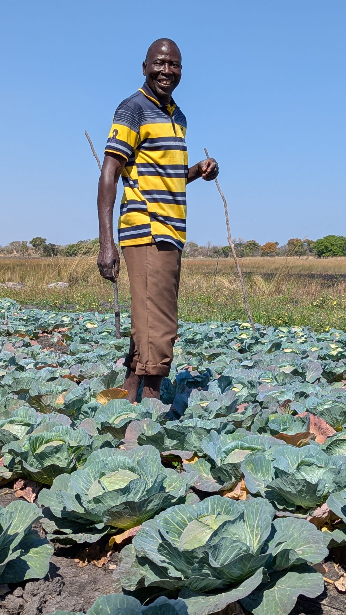 🌱Greening the Sands of Senanga | ADRA Zambia